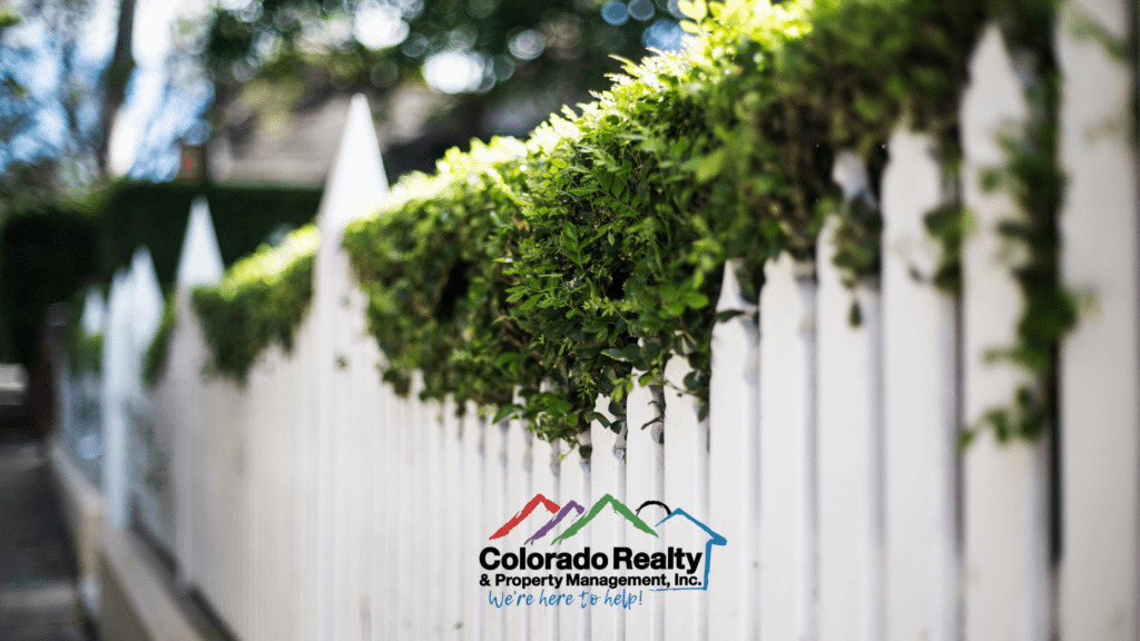 Fence Laws in Colorado